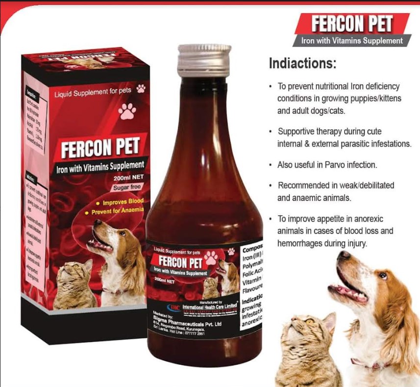 Can Dogs Have Iron Tablets
